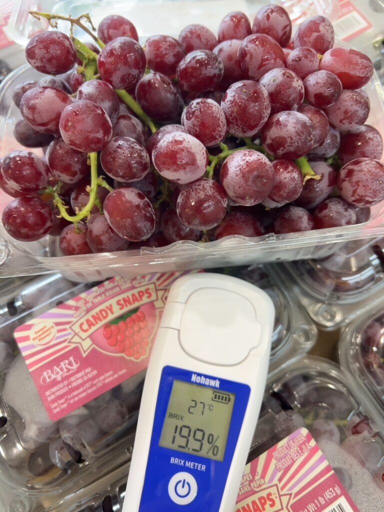 美國 Candy Snaps - 果旬本舖かじゅんほんぽ